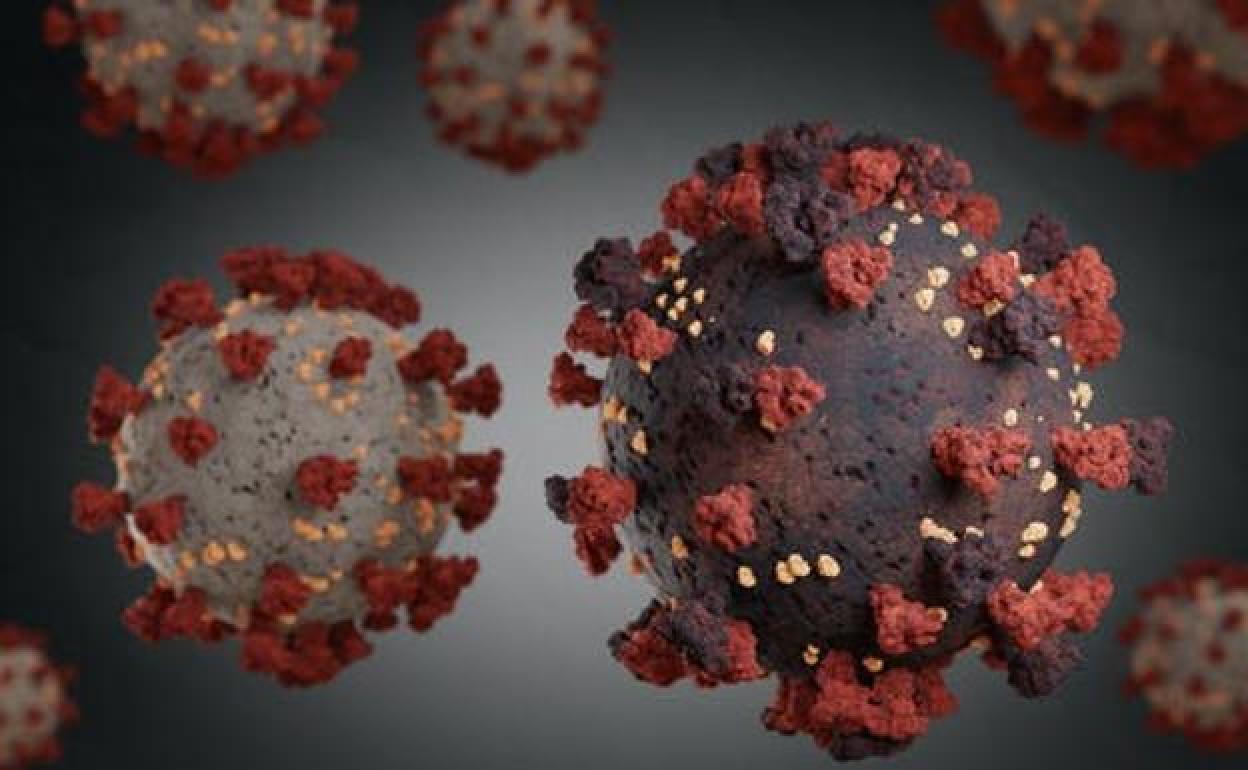 Las claves de la variante Delta Plus: ¿Es más contagiosa? ¿Qué síntomas produce? | El Correo